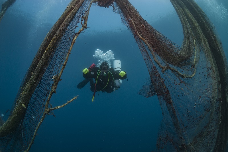 Ghost Fishing: Το κυνήγι «θαλάσσιων φαντασμάτων» ήρθε και στην Ελλάδα