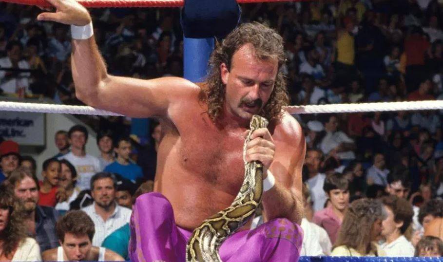 «Το καταραμένο φίδι με δάγκωσε!»: Το ματς του WWE που τίποτα δεν πήγε ...